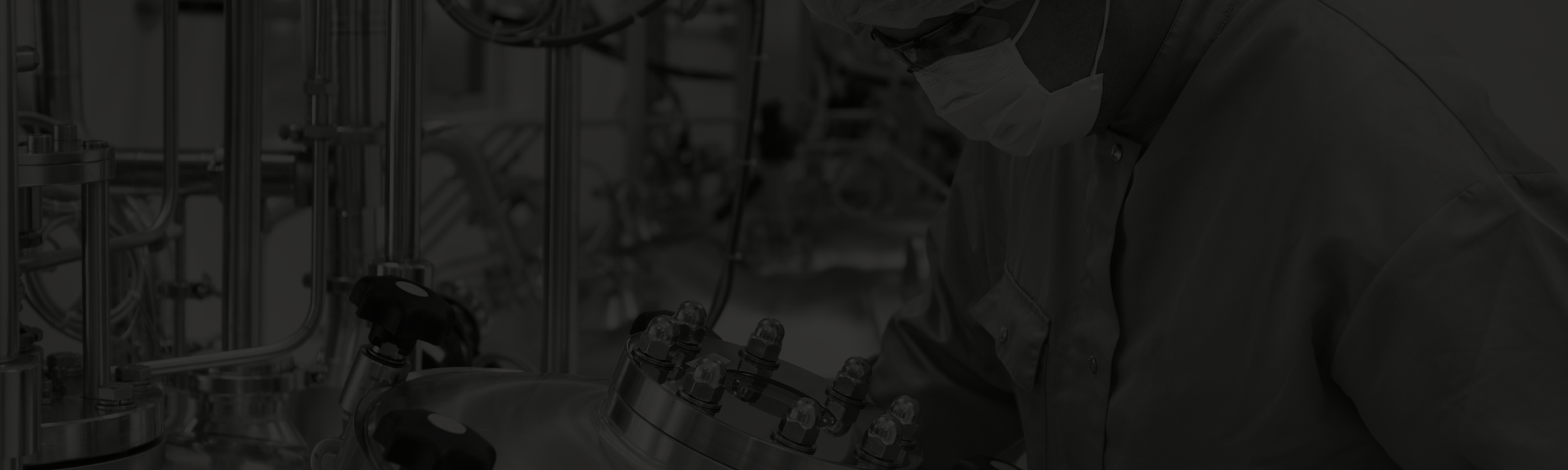 Single Use Assemblies - Triangle Process Equipment